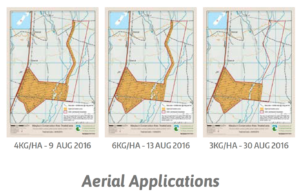 Pindone | Key Industries